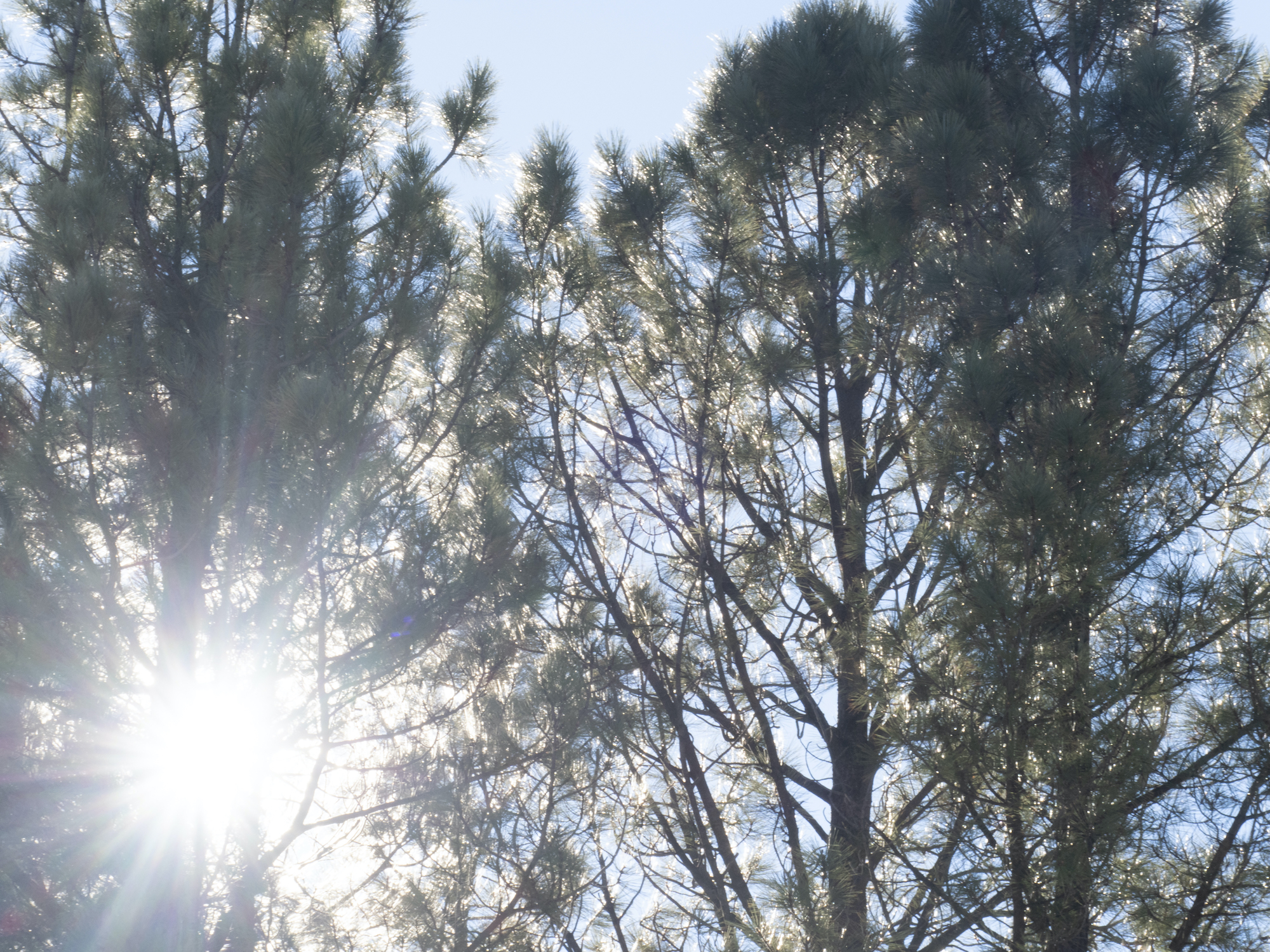 How to take a photo of the filtered sun and get a starburst effect ...